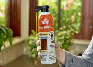 10 Best German Roach Killers Reviewed in Detail (Summer 2023)