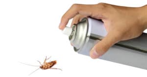 10 Best German Roach Killers Reviewed in Detail (Summer 2023)