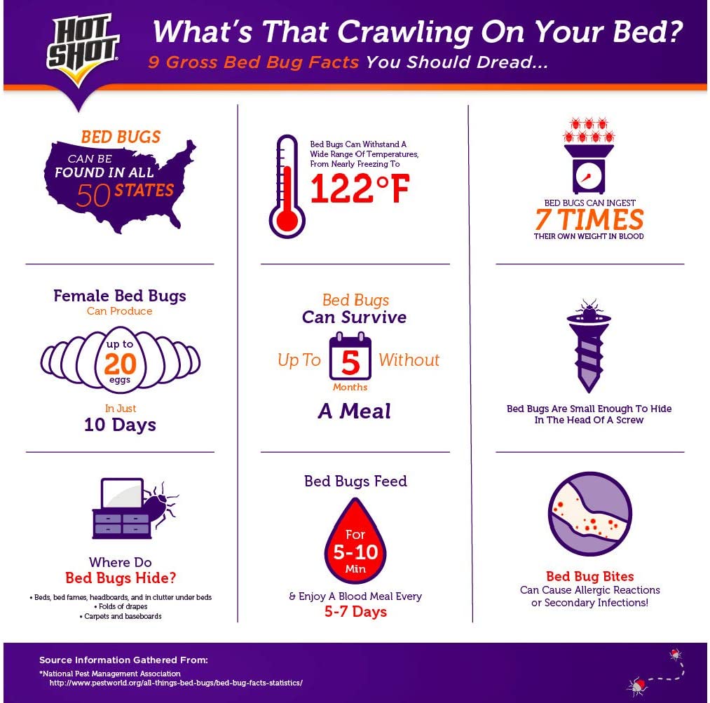 12 Best Bed Bug Powder Products Reviewed in Detail (Apr. 2021)